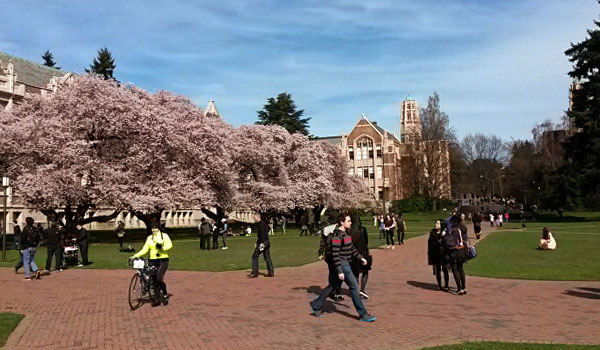 University of Washington School of Public Health