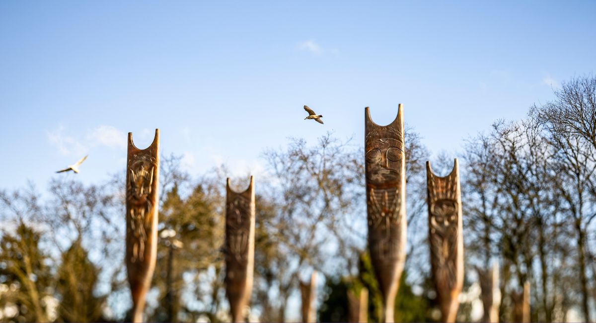 Resources to celebrate Native American Heritage Month and its ...